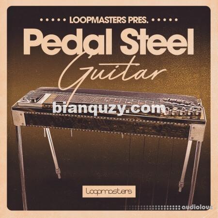 Loopmasters Pedal Steel Guitar [MULTiFORMAT] - 编曲资源