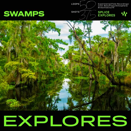 Splice Explores Swamps WAV-FANTASTiC - 编曲资源