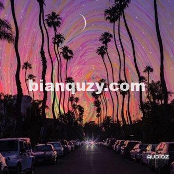 WavSupply nico baran Paris Vol. 2 (Loop Kit) WAV-FANTASTiC - 编曲资源