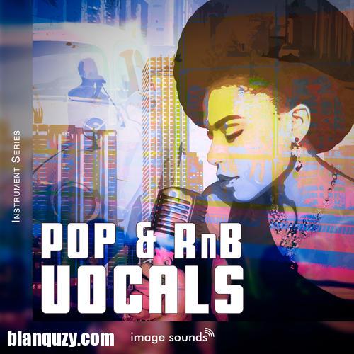 Steinberg Pop & RnB Vocals VSTSOUND - 编曲资源